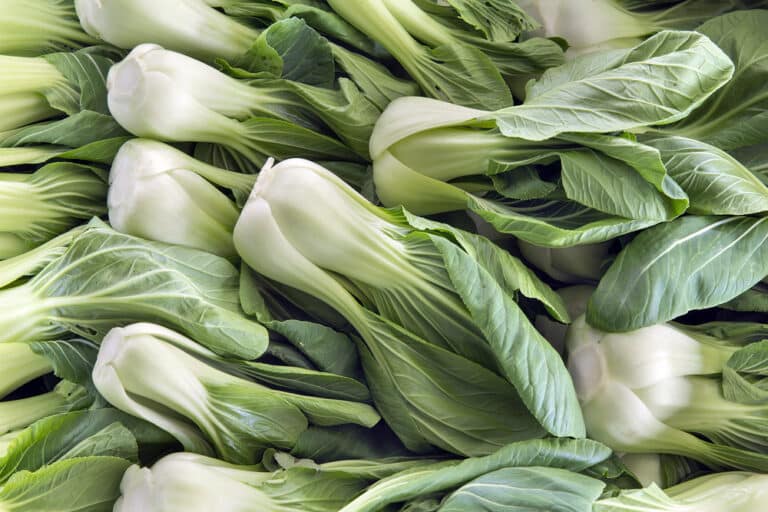 12 Foods With More Calcium Than a Glass of Milk - Healthy Food Guide