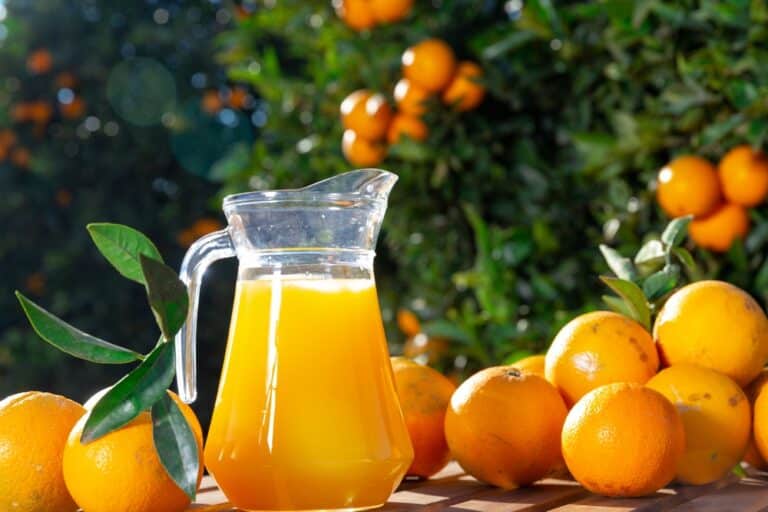 I Drank Fresh Juice Every Day for 30 Days and Here's What Happened to ...